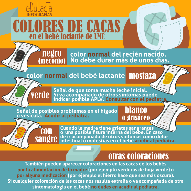 Infografía: Colores de Cacas en el bebé lactante de LME – EDULACTA